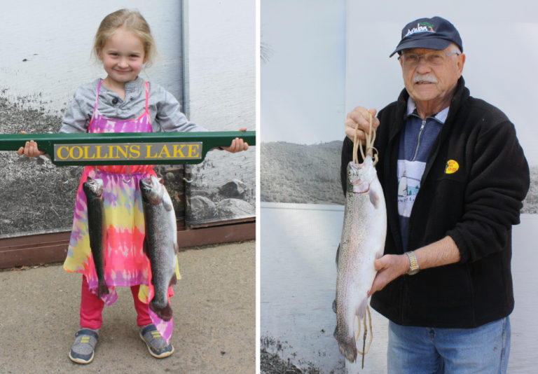 Collins Lake :: Trout All Over; Bass in the Background