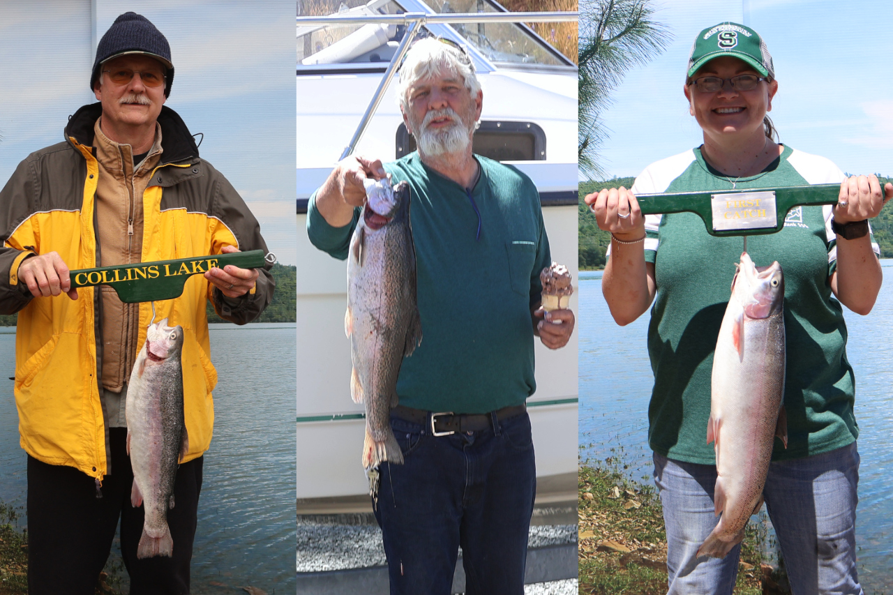 Collins Lake :: Early Summer Brings on the Bass