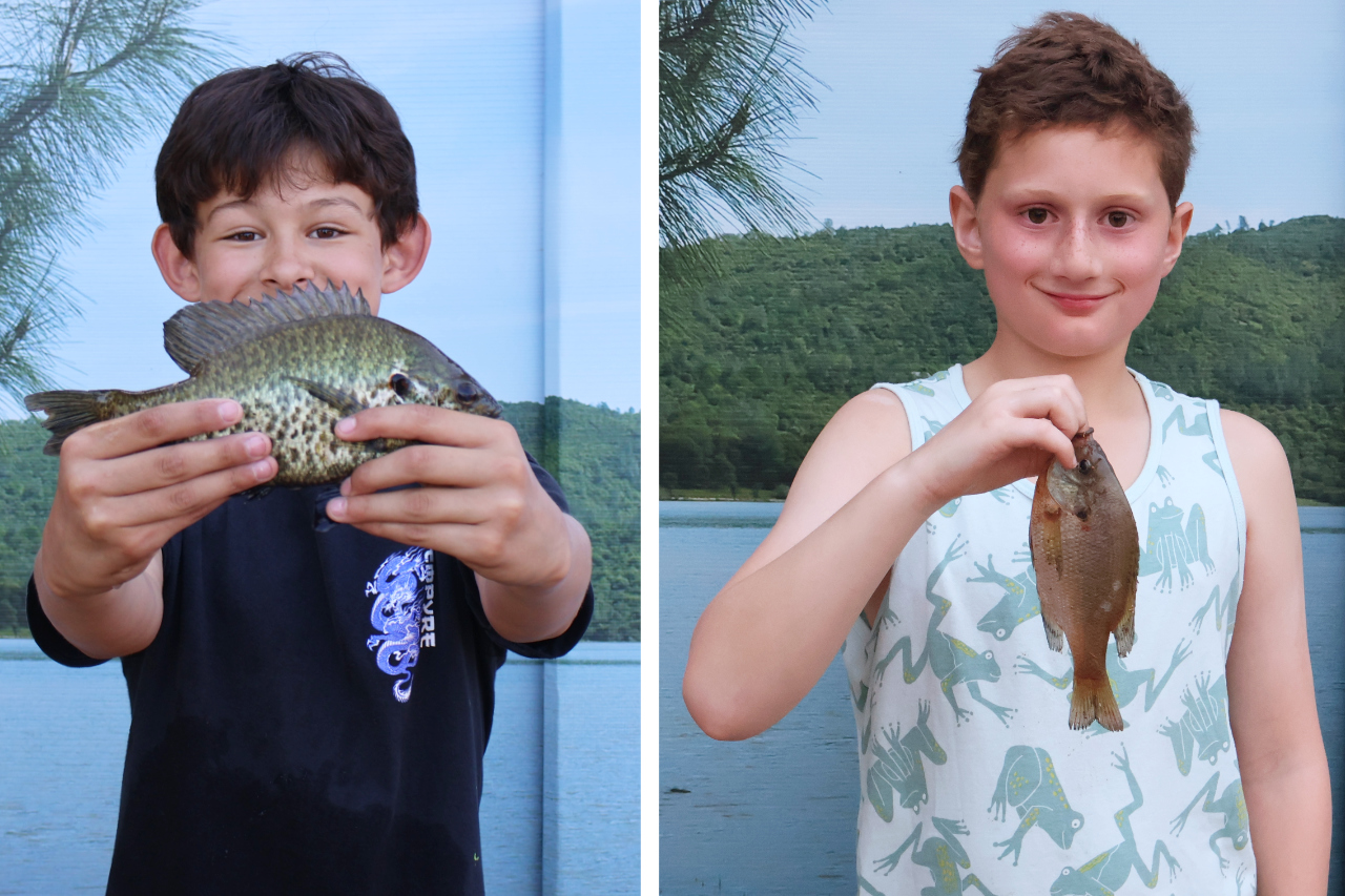 Collins Lake :: Early Summer Brings on the Bass