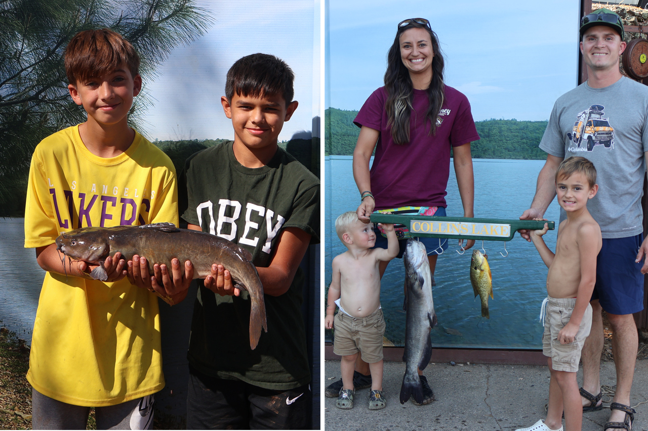 Collins Lake :: Large Lightning and Rainbows Return