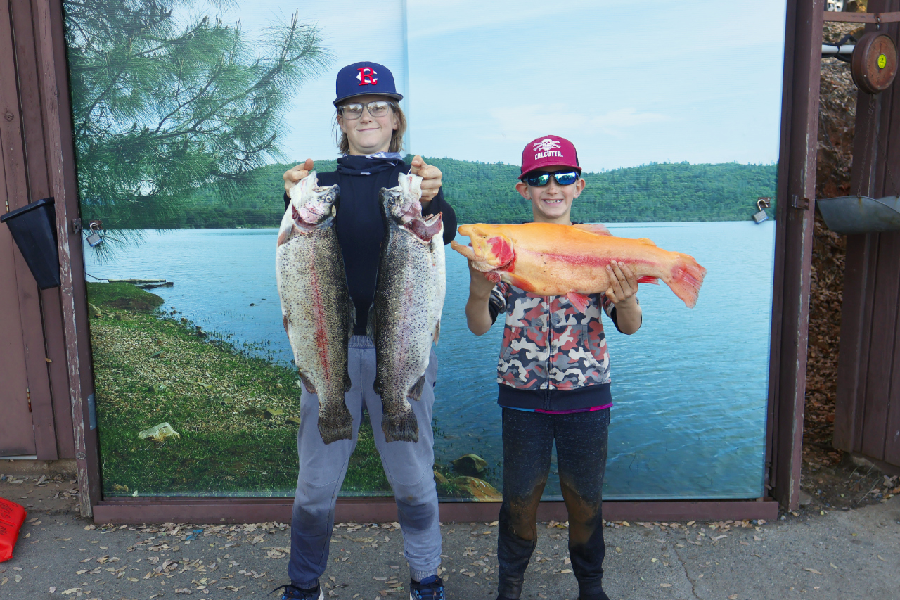 Collins Lake :: Temperatures Drop and Trout Rise!