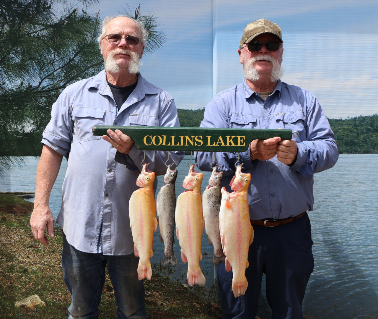 Collins Lake :: Trout Take a Dive, Bass & Cats Warm Up