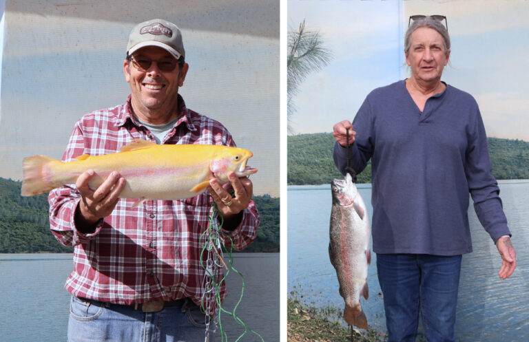 Collins Lake :: Cooler Weather Brings Trout Up