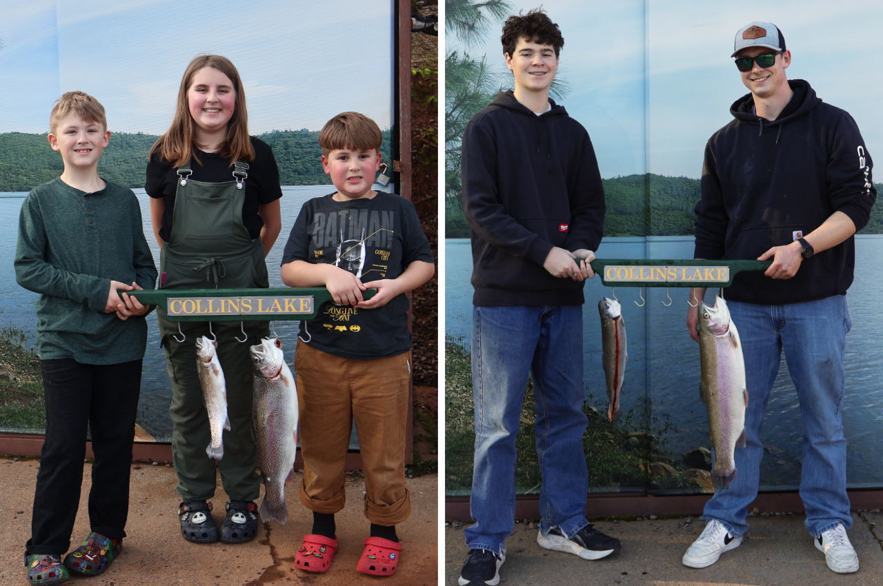 Collins Lake :: Warm Winter Days – Shallow Trout All Around