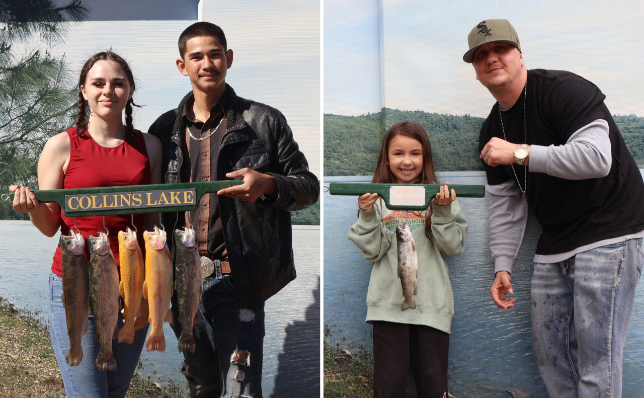 Collins Lake :: Trout on Lures, Worms, Marshmallows or PowerBait in the ...