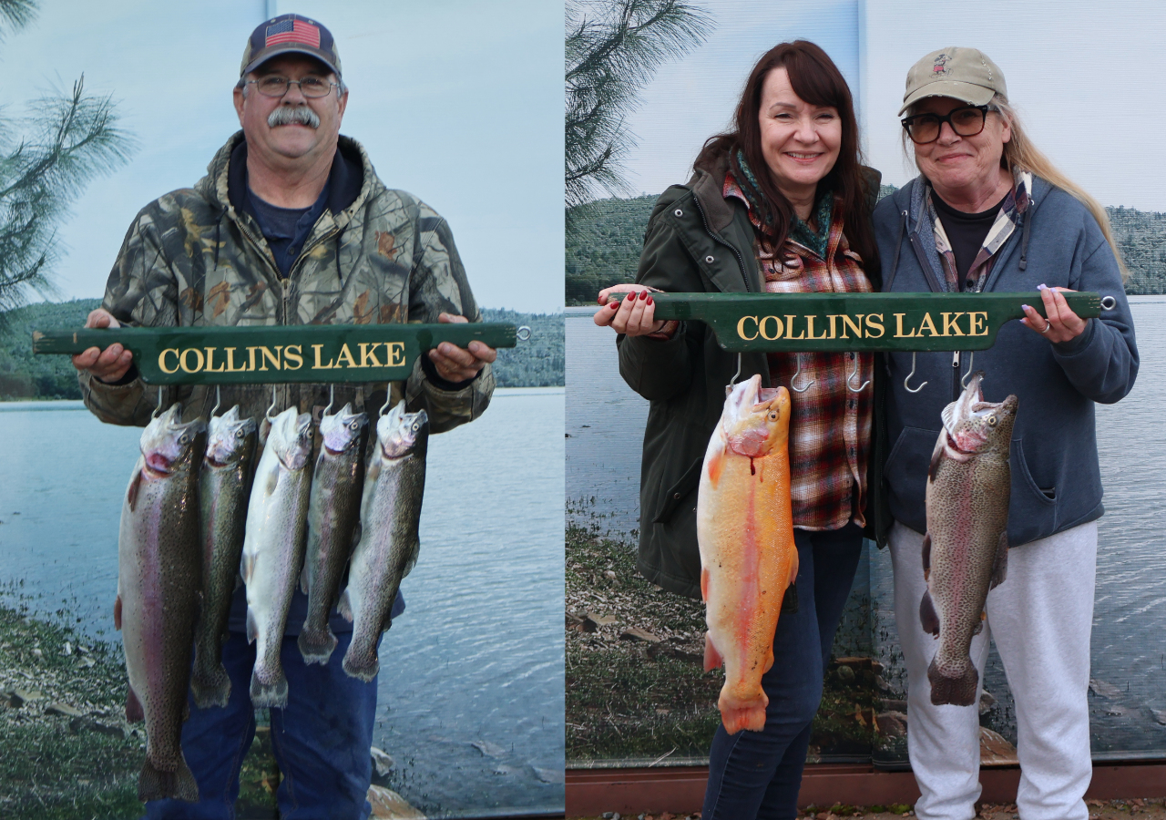 Collins Lake :: Weekly Trout Plants Continue as Conditions Clear