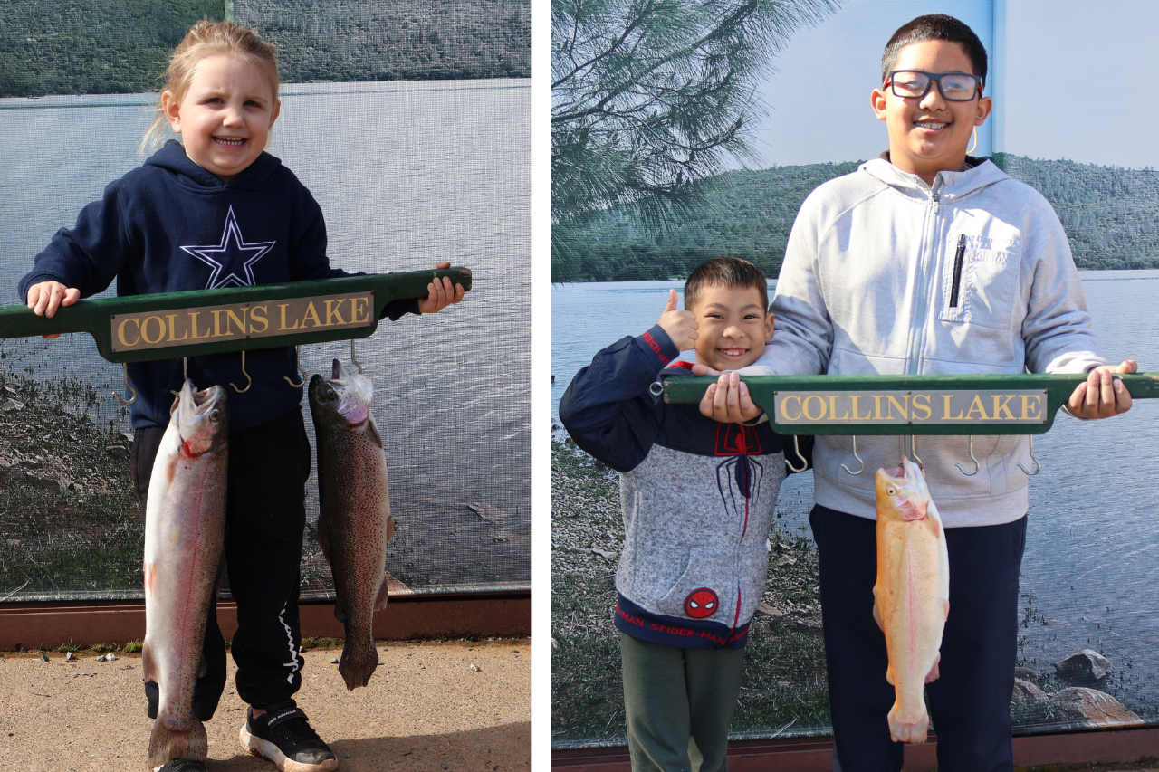 Collins Lake :: Trout Still Available at the Shore while the Bass Bite ...