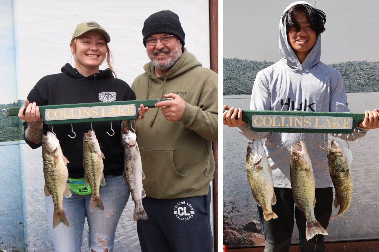 Collins Lake :: Trout Still Available at the Shore while the Bass Bite ...