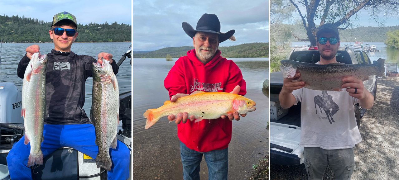 Collins Lake :: Bass Biting along the Eastern Shore, Trout at 10ft near ...